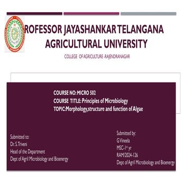 Morphology structure and function of algae.pptx