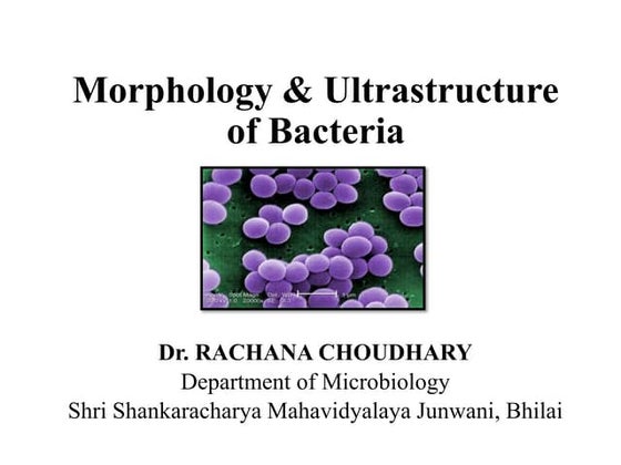Bacterial cell structure and composition | PPT
