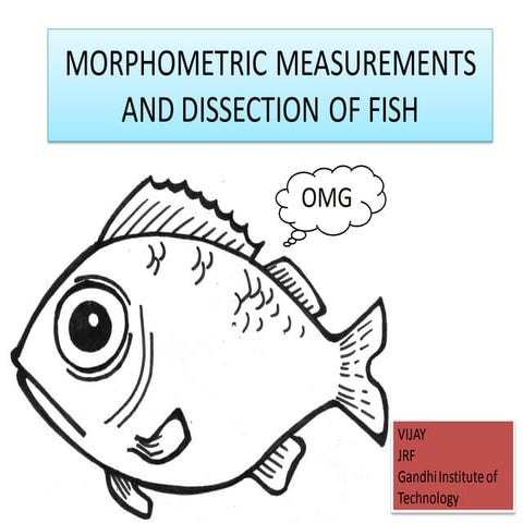 Morphometric measurements,condition indexing and dissection of fish | PDF