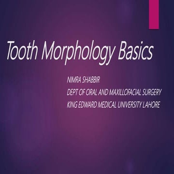 Tooth Morphology | PPTX