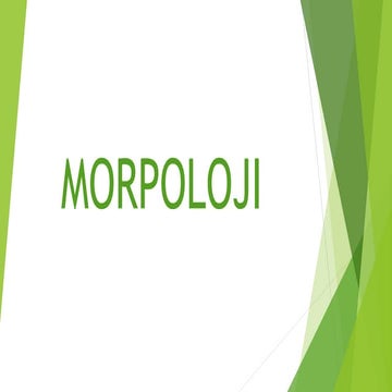 Teoryang iskema | PPTX