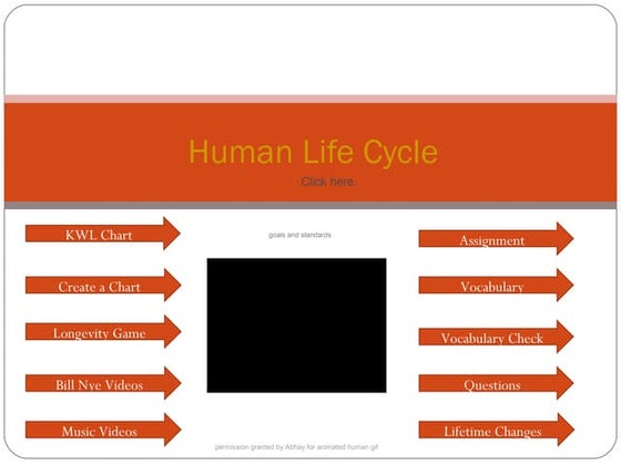 The human life cycle | PPT | Reproductive Health | Diseases and Conditions