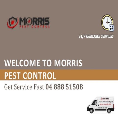 Morris Pest Control | PPTX