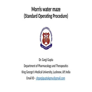Morris Water Maze : a behavioral test that measures spatial learning ...