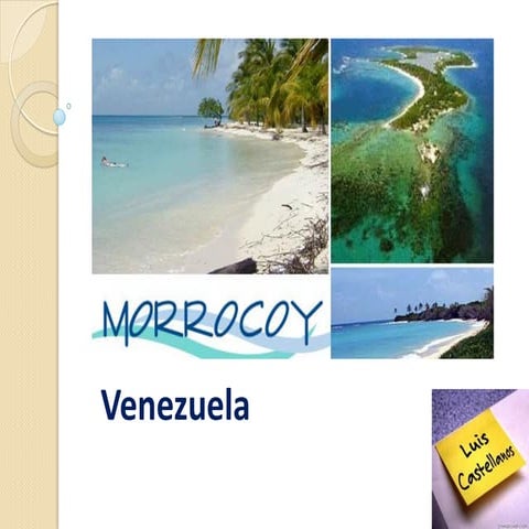 Morrocoy | PDF