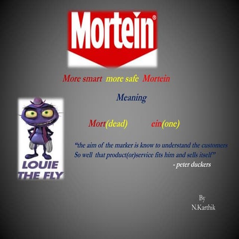 Mortein | PPTX