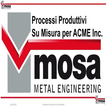 Mosa company profile | PPT
