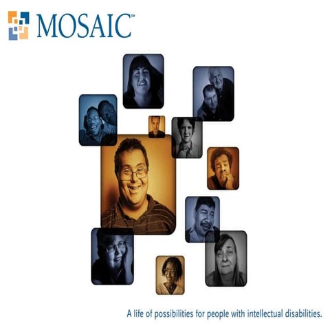 Mosaic Presentation 2010 | PPT | Non-Profit Organizations | Industries
