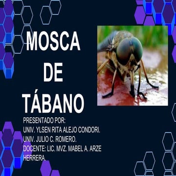 MOSCA DE TÁBANO.pptx