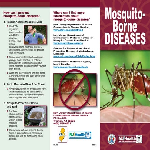 Mosquito Borne Diseases Brochure and Information | PDF | Infectious ...