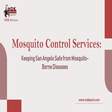 Mosquito Control Services Keeping San Angelo Safe from Mosquito-Borne ...