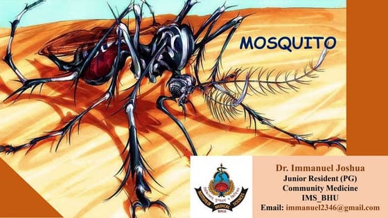 Mosquitoes | PPT