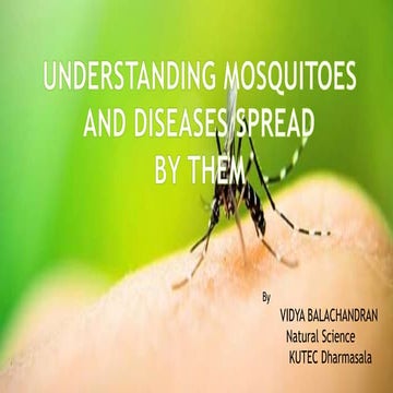 Mosquitoes and diseases | PPTX