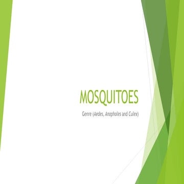 Mosquitoes presentation | PPTX