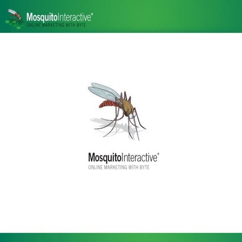 Mosquito Power Point Presentation | PPT