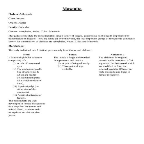 Mosquito notes | PDF