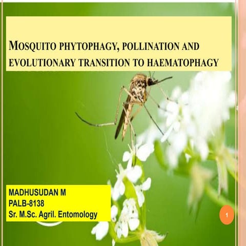 Mosquito phytophagy, pollination and evolutionary transition to ...