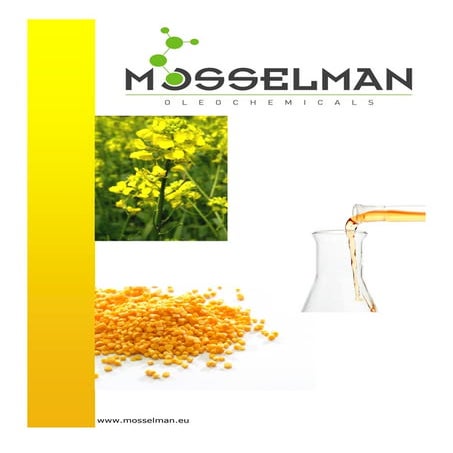 Mosselman brochure | PDF