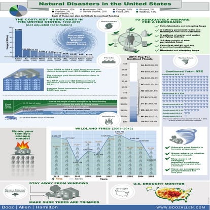 Most Common Natural Disasters Infographic | PDF