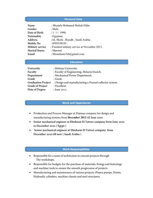 Maged cv(2) | PDF