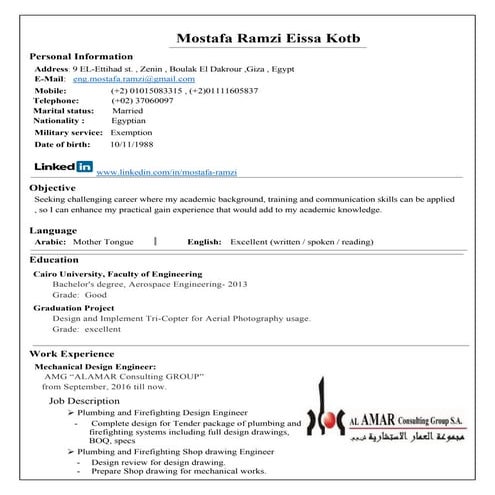 Mostafa ramzi's CV | PDF