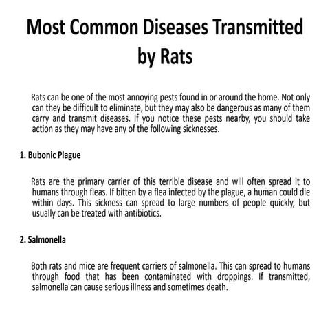 Most Common Diseases Transmitted by Rats | PPTX