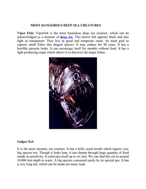 Deep Sea Creatures | PPT