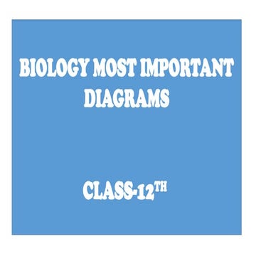 MOST IMPORTANT DIAGRAM 12TH.pptx,,,,,,,,,,,,,,, | PPTX