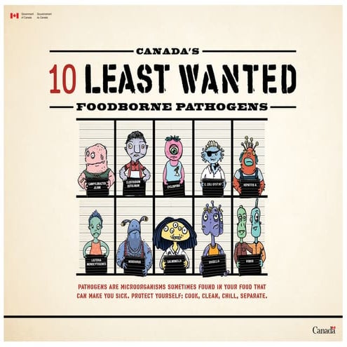 Most Wanted Pathogens a brief study into bad bugs | PDF | Infectious ...