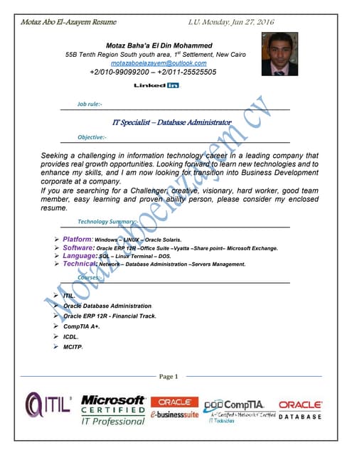 Curriculum Vite | DOCX | IT and Internet Support | Internet