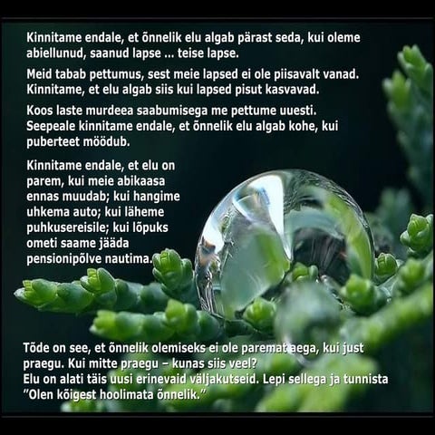 Mote | PPT