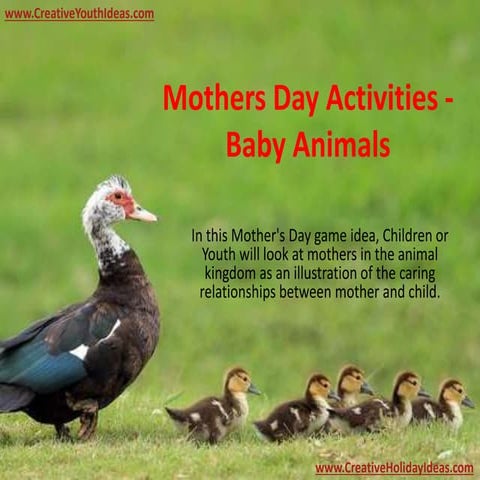 Mothers Day Activities - Baby Animals | PPTX