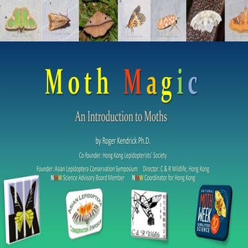 Moth Magic HKLS 20230422 (compressed pictures).pptx | Birdwatching | Hobbies & Interests