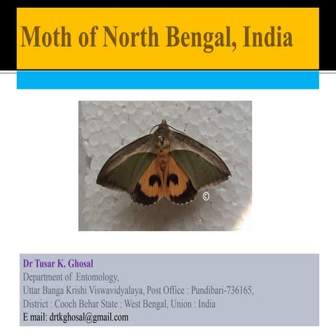 Moth of North Bengal, India part 1 | PPT