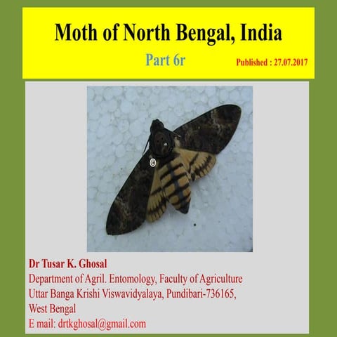 Moth of North Bengal Part 6r | PPTX
