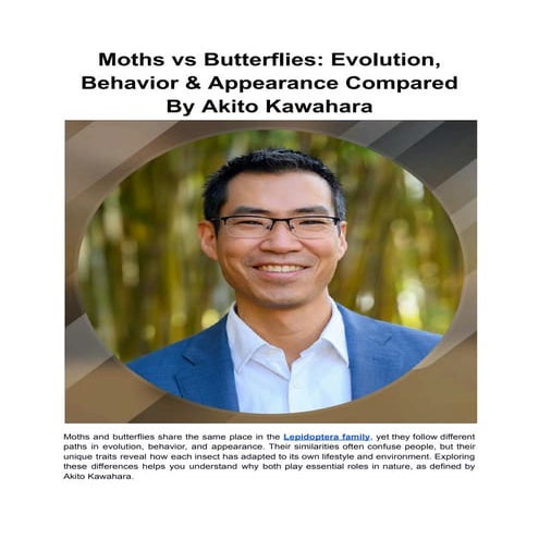 Moths vs Butterflies: Evolution, Behavior & Appearance Compared By ...