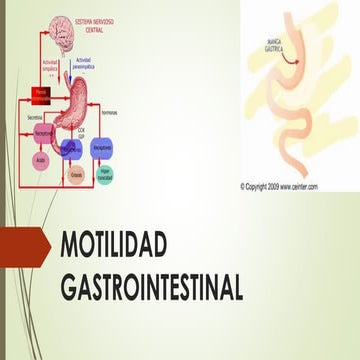 Motilidad y circulación gastrointestinal | PPTX