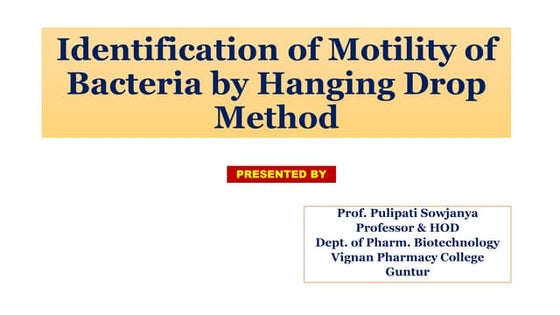 Activity 2 - Determination of Bacterial Motility | PPTX