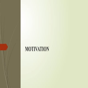 Motivation theories(organizational behavior).pptx
