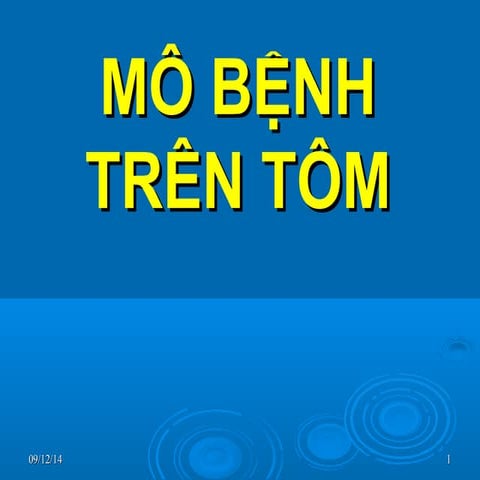 Mo tom | PPT
