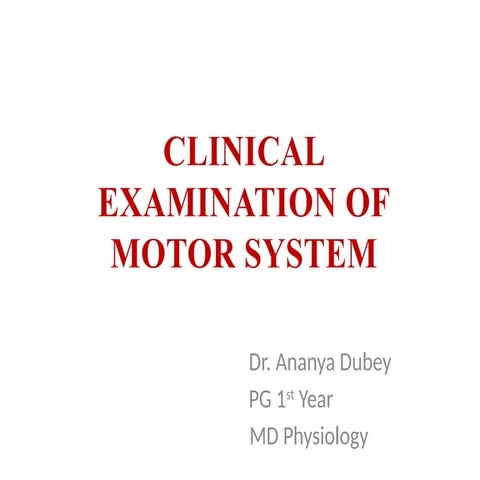 Muscle Power and Tone Examination | PDF