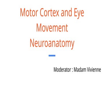 A Presentation on the Motor Cortex & Eye Movement.pptx
