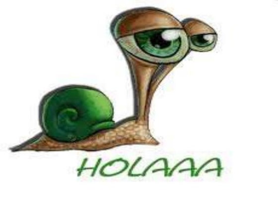 Productselection | PDF