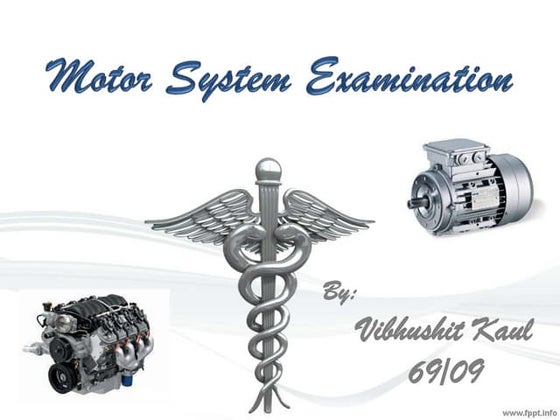 Special test for dermatomes and myotomes | PPTX