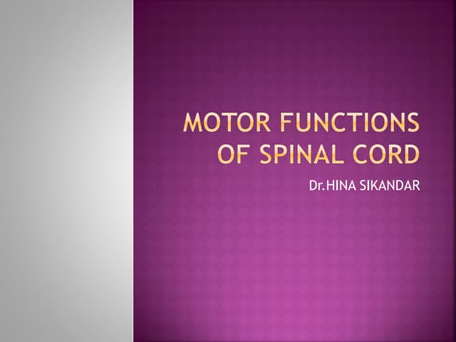 H reflex (Hoffmann's Reflex) | PPT