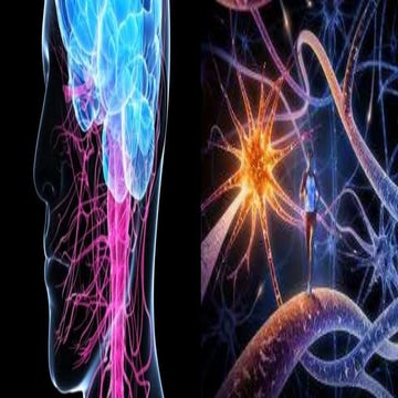 Whats your Moto ? - (Motor neuron disease) | PPTX