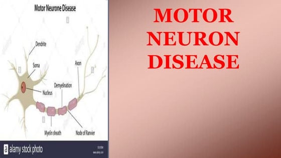 Motor Neuron Disease | PPTX | Brain and Nervous System Disorders ...