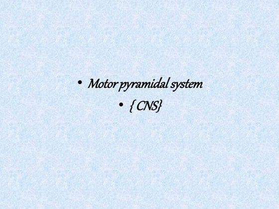 motor system-1.ppt
