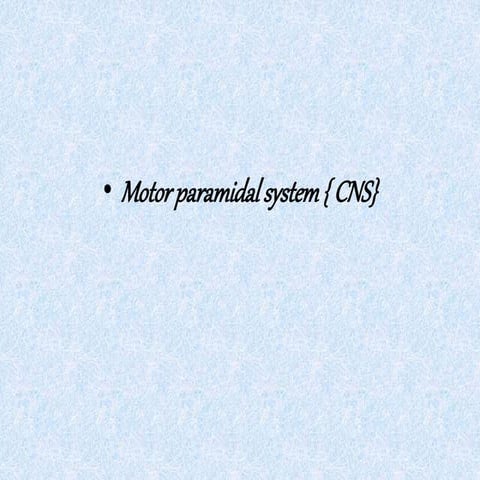motor system-1.ppt