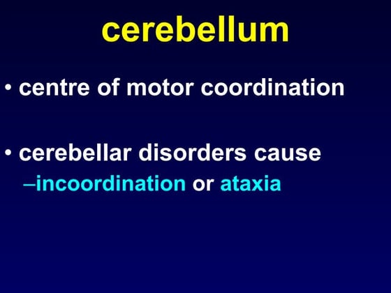 CEREBELLUM.pptx